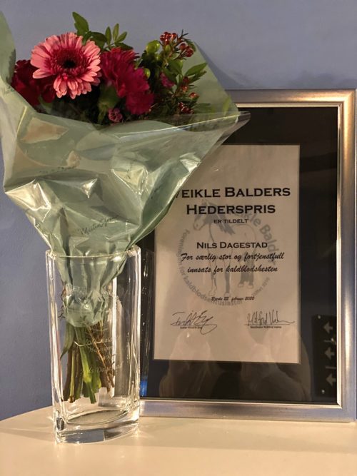 Til minne om Nils Dagestads