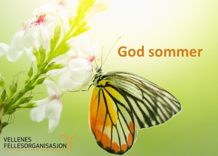 God sommer!